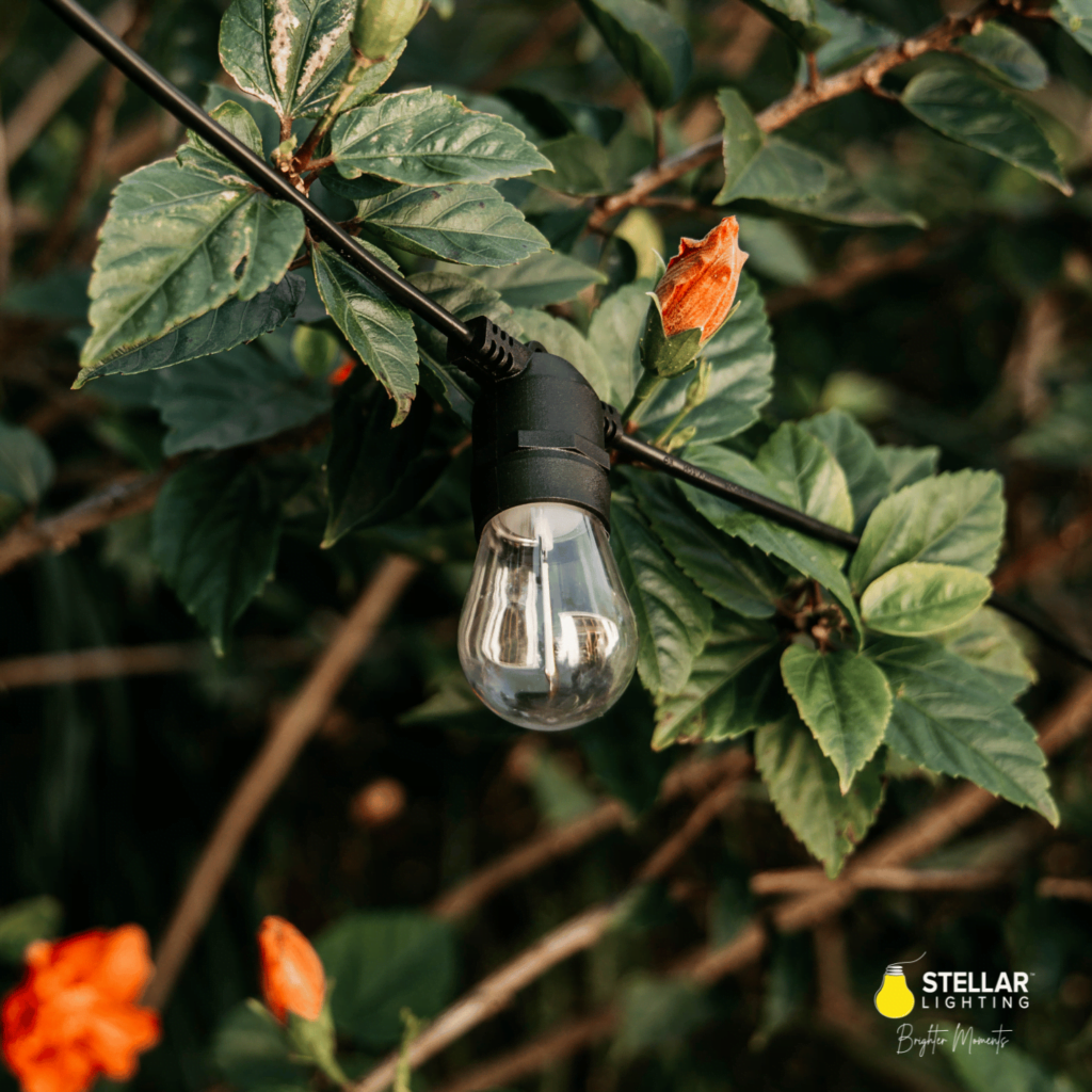 Solar 10m LED Heavy Duty Festoon String Lights