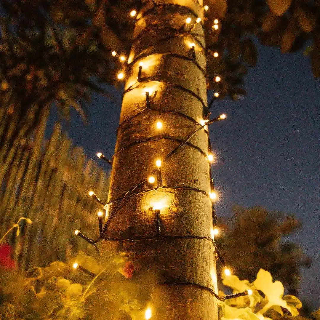 Solar 20m 200 LED Fairy Lights in Warm White