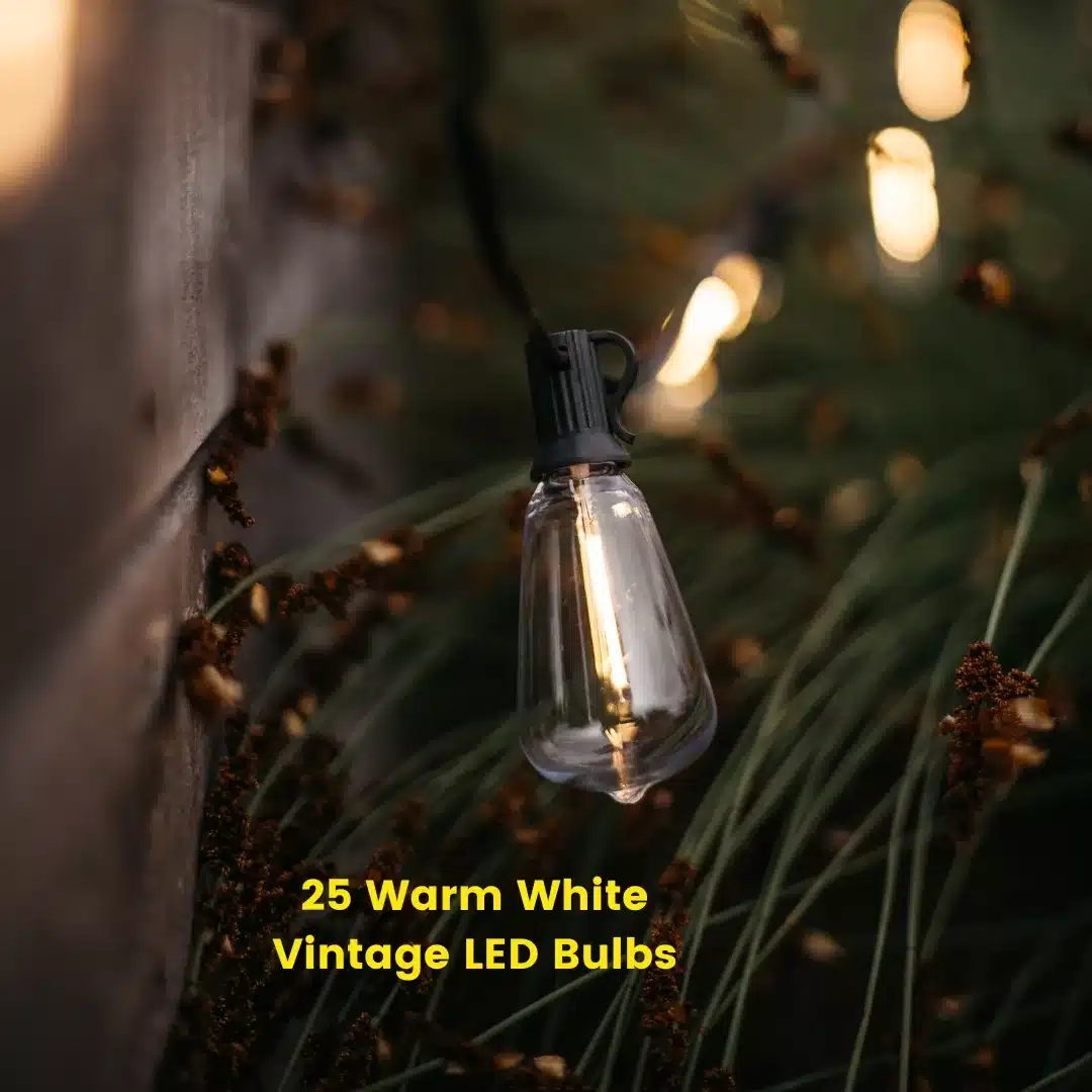10m 25 Vintage LED Bulb String Lights For Your Garden