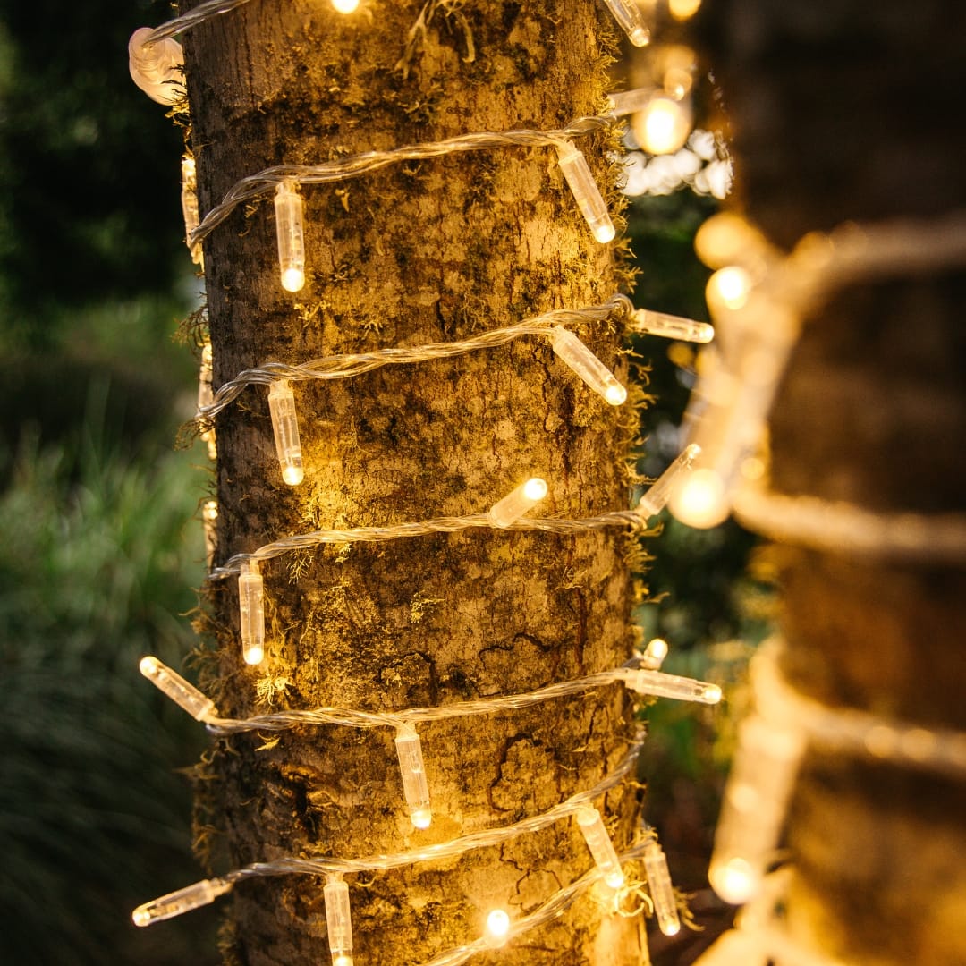 Fairy Lights in 10m with 100 LED Bulbs in Warm White