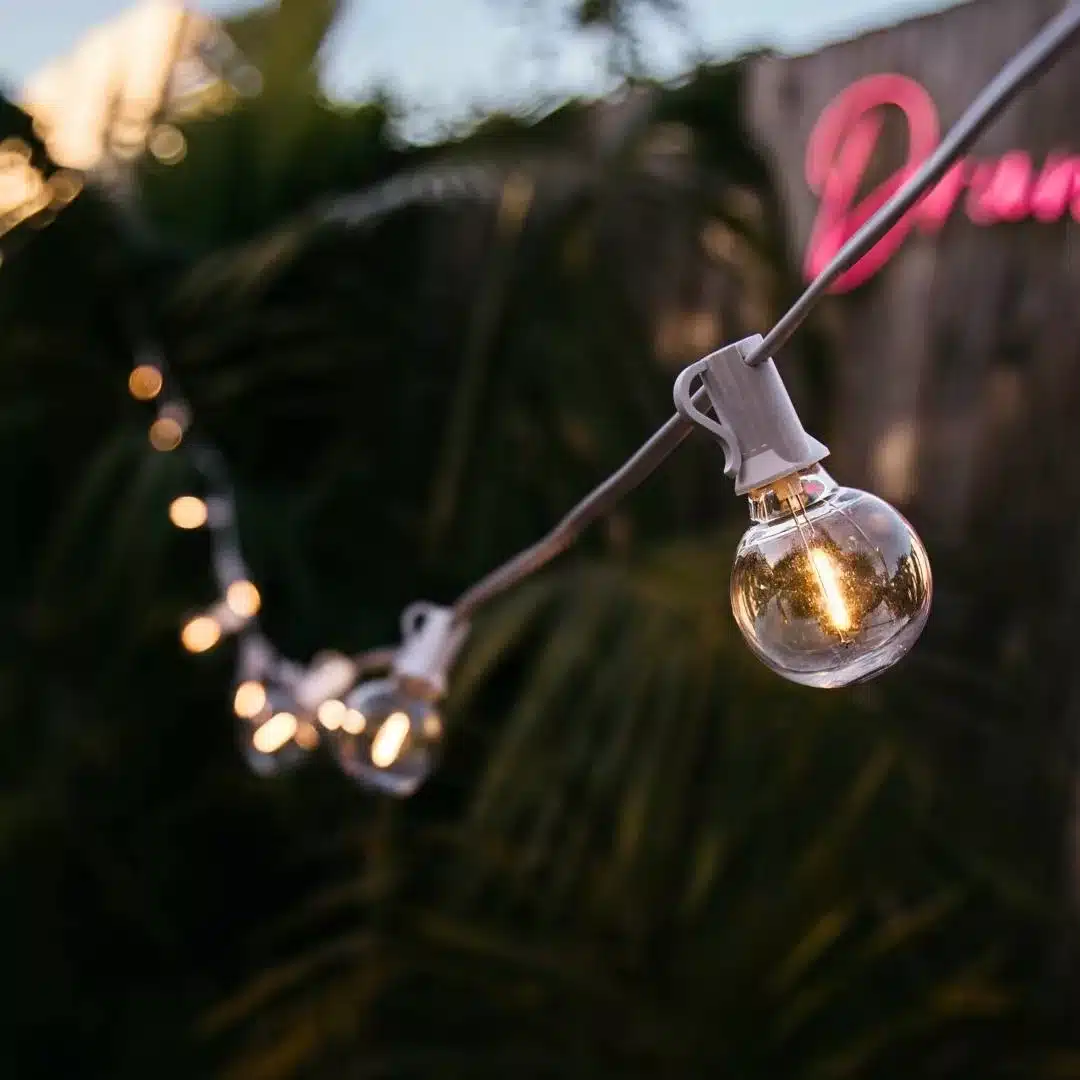 We have Exclusive Solar Lighting, Plug-in Lighting and More!