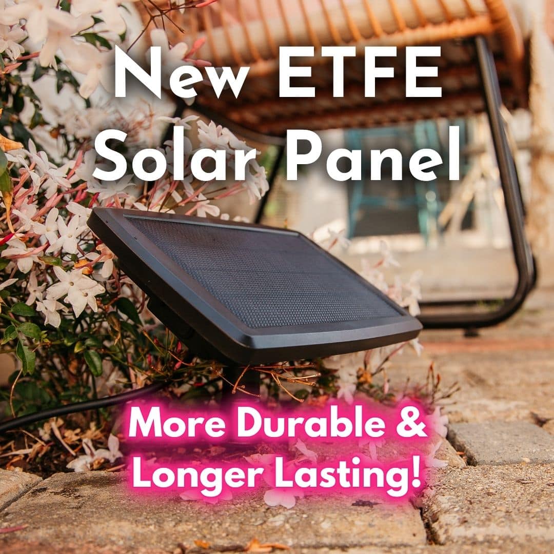 Solar Festoon Lights Are Back | Outdoor Lighting by Stellar